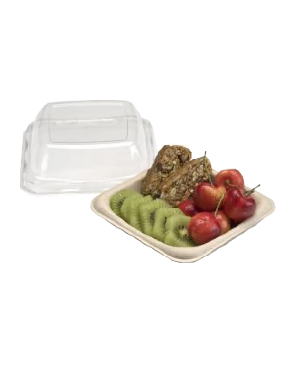 Small Pulp Fiber Tray 5x5 Square for Sandwich - 300/Case